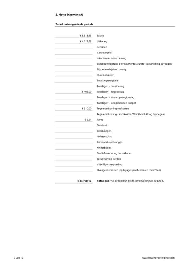 Bewindvoering in Excel voor (familiaire) bewindvoerders - simpel en uniek