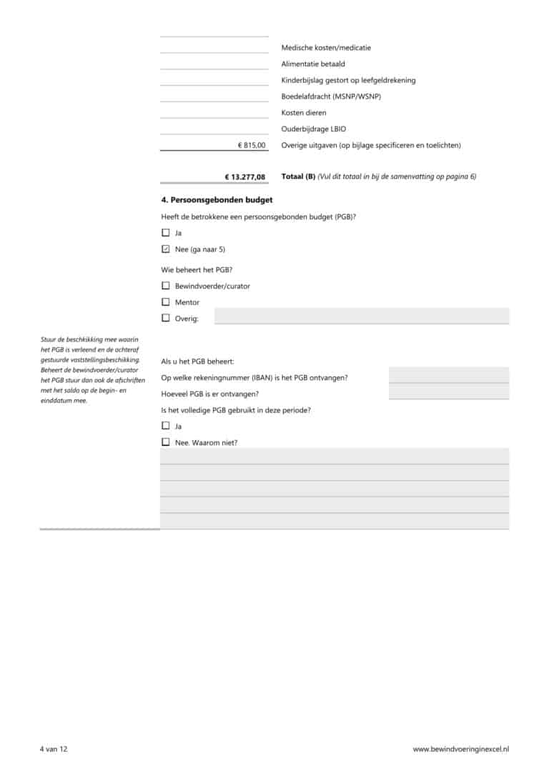 Bewindvoering in Excel voor (familiaire) bewindvoerders - simpel en uniek