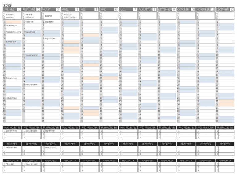 Business Planner in Excel - Pro-versie